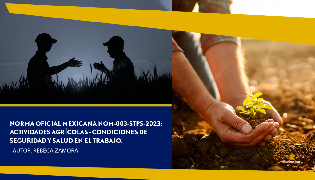 NORMA OFICIAL MEXICANA NOM-003-STPS-2023: ACTIVIDADES AGRÍCOLAS - CONDICIONES DE SEGURIDAD Y ...